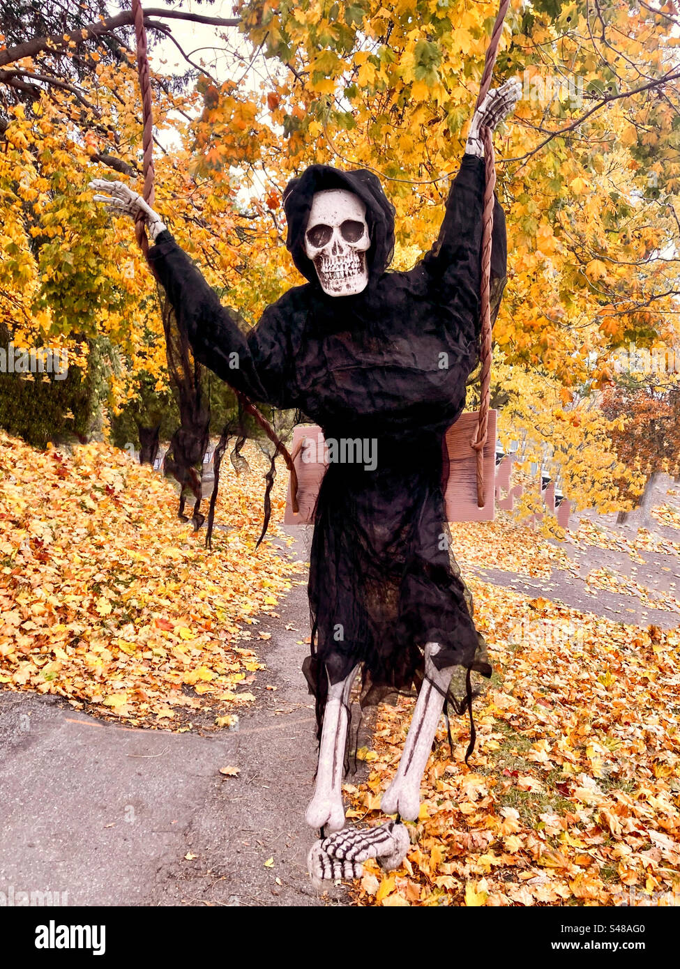Halloween decoration, a skeleton on a swing Stock Photo - Alamy