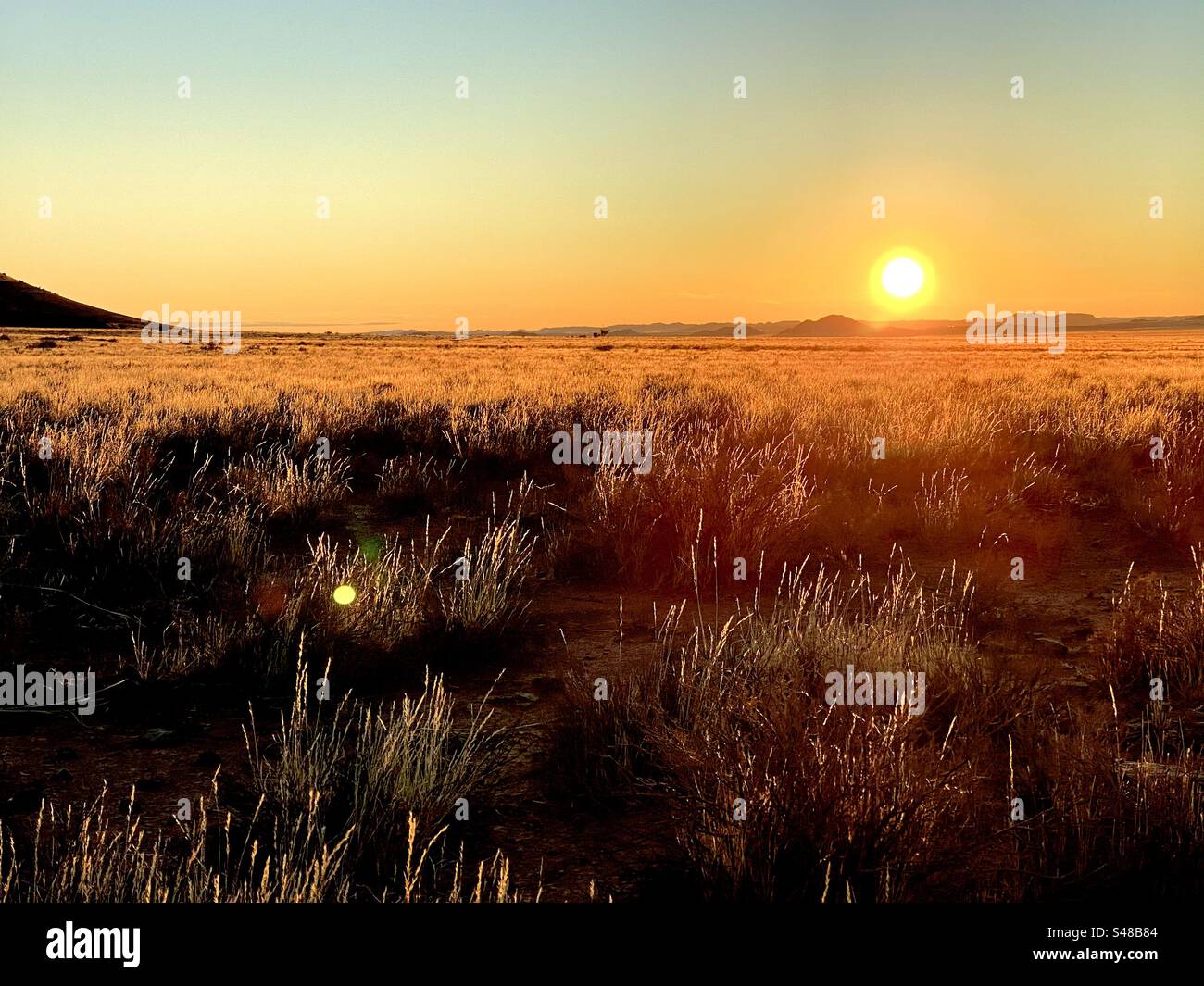 Great karoo hi-res stock photography and images - Alamy