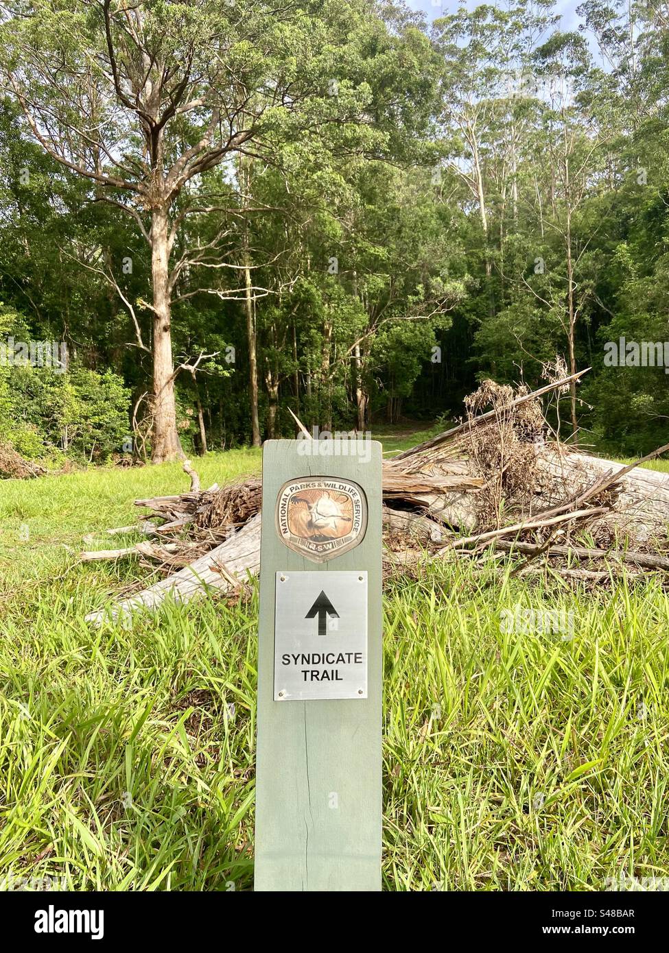 Start of the Syndicate trail Dorrigo Mountains NSW Australia Stock ...