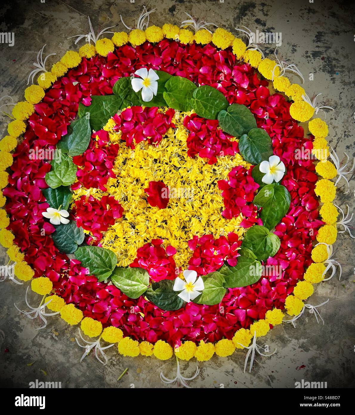 Festive rangoli hi-res stock photography and images - Alamy