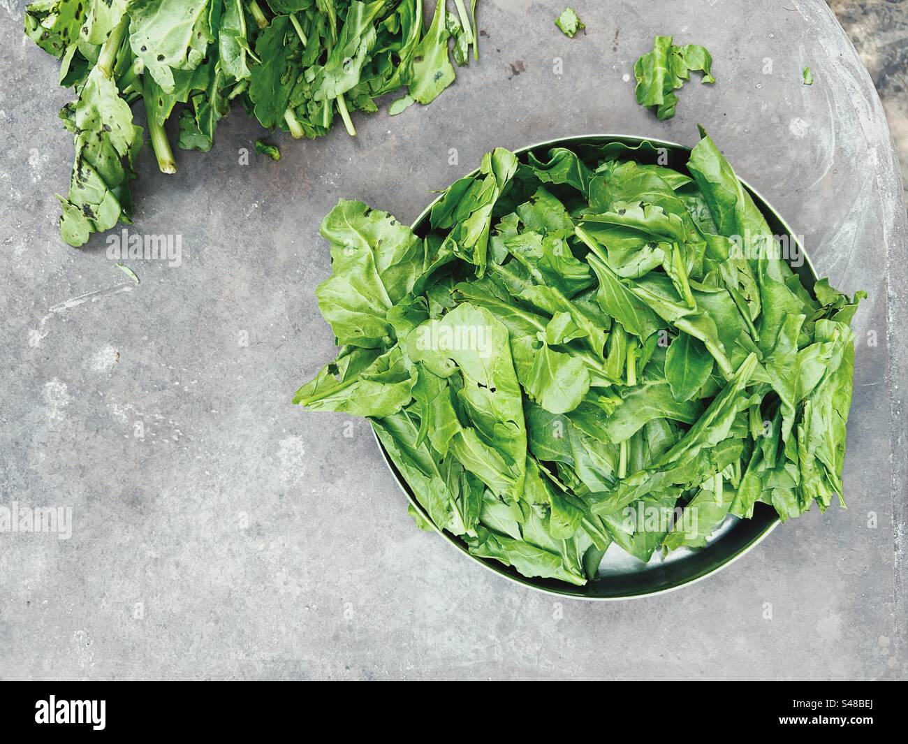 Spinach being cleaned for cooking food Stock Photo - Alamy
