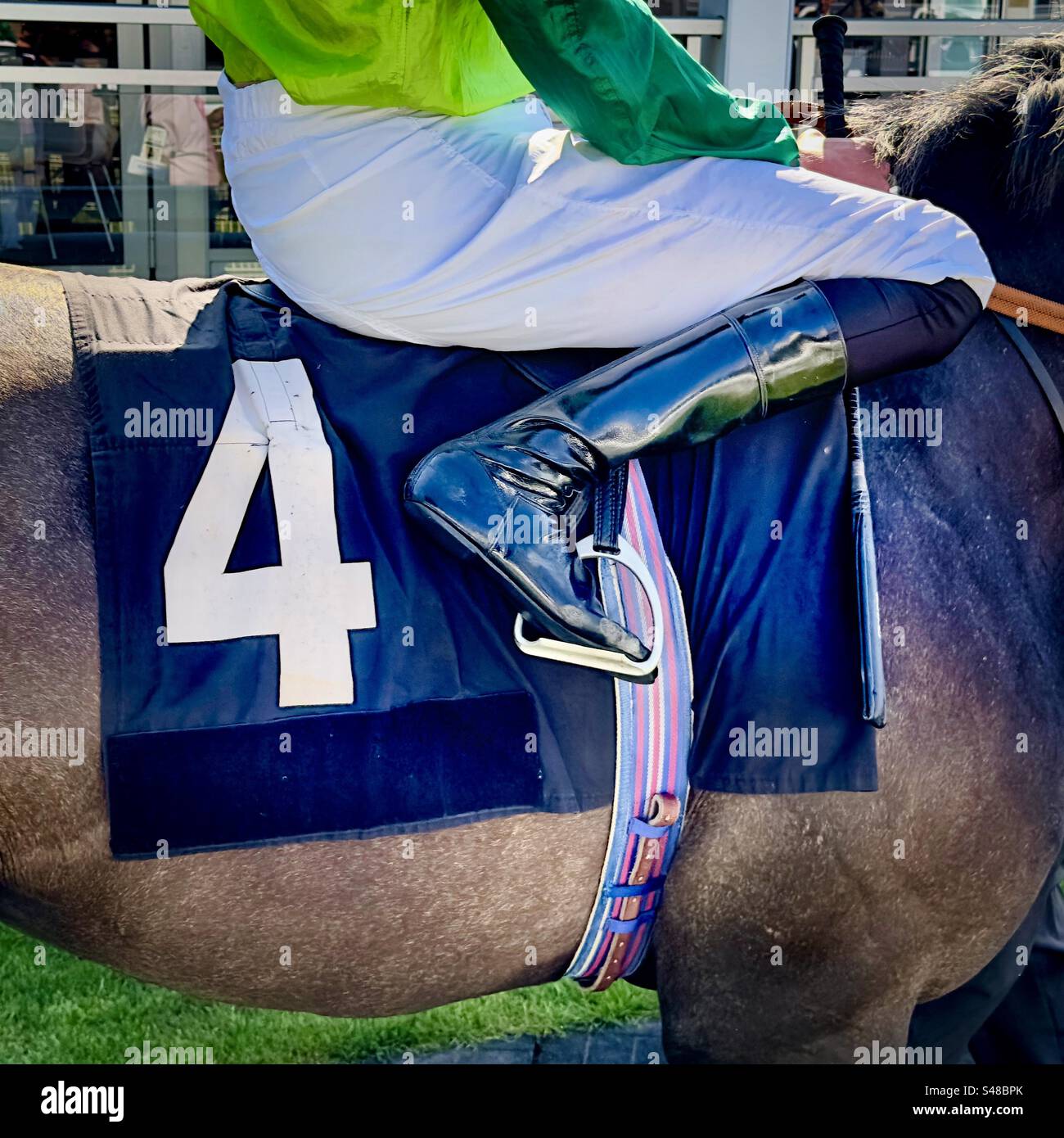 Horse number four hi-res stock photography and images - Alamy