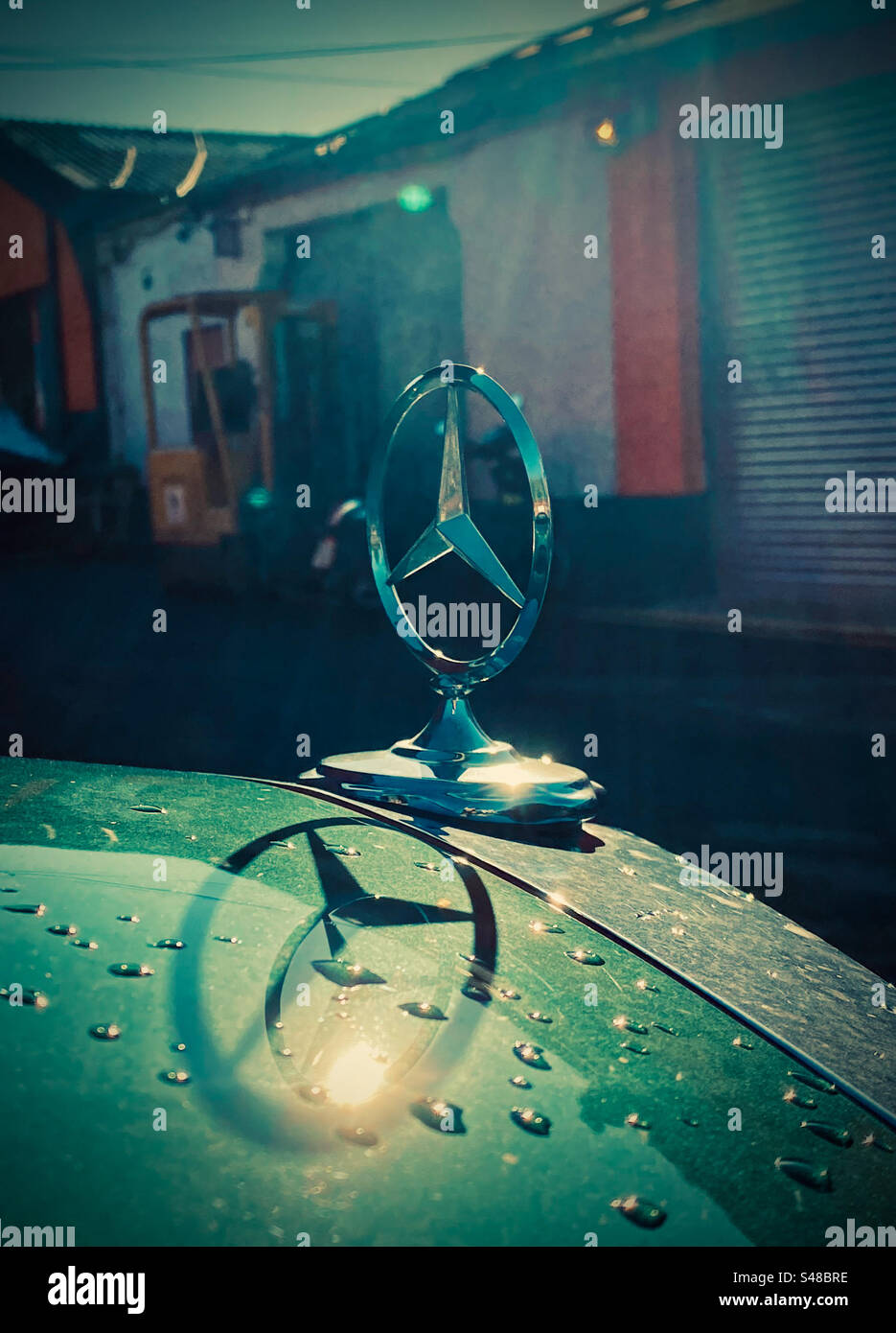 The front emblem of an old classic Mercedes car Stock Photo - Alamy