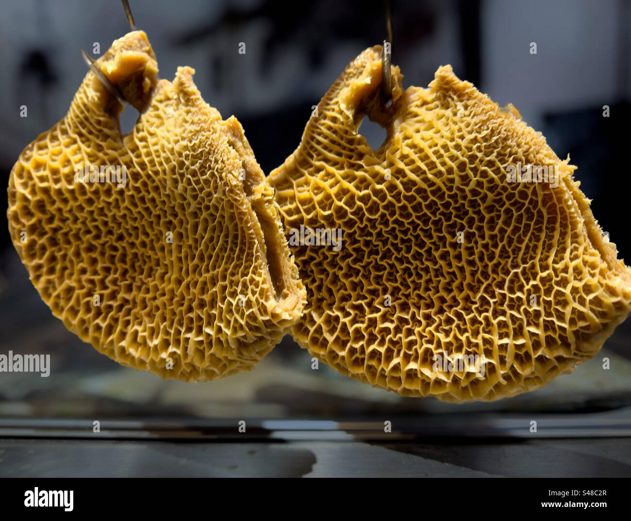 Display of tripe hanging from a specialty noodle restaurant that ...