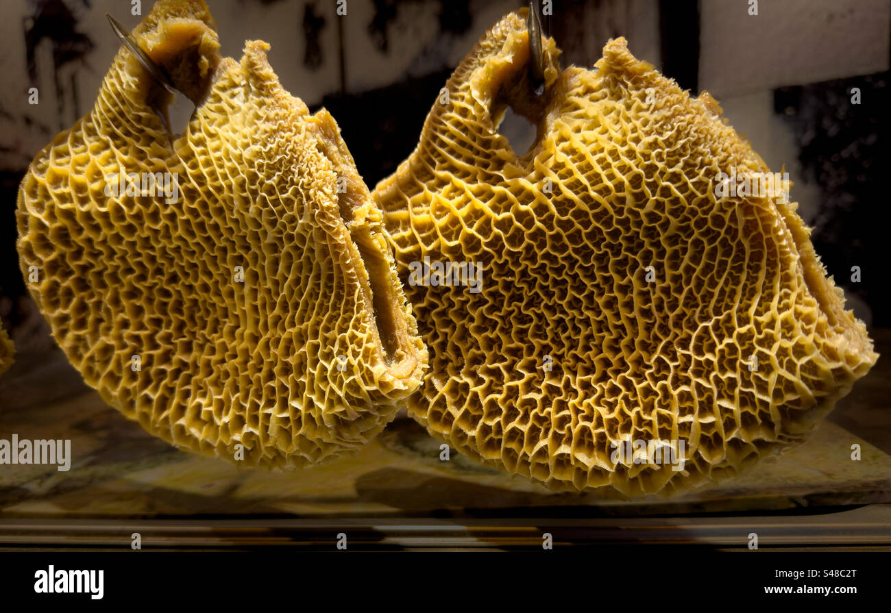 Display of fresh tripe hanging at a Chinese noodle restaurant that ...