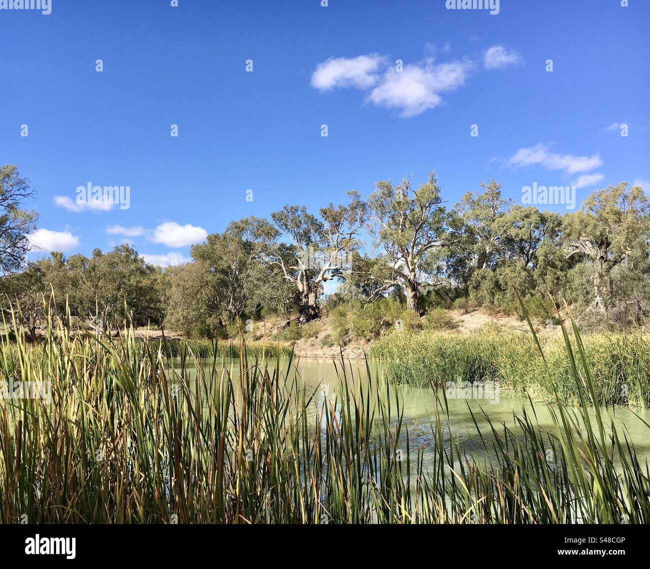Darling river hi-res stock photography and images - Alamy