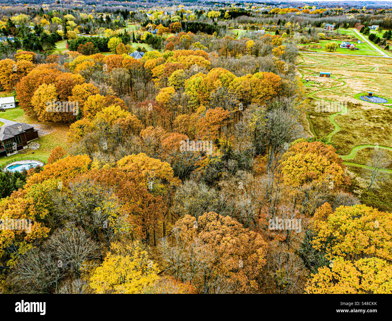 Foilage hi-res stock photography and images - Alamy