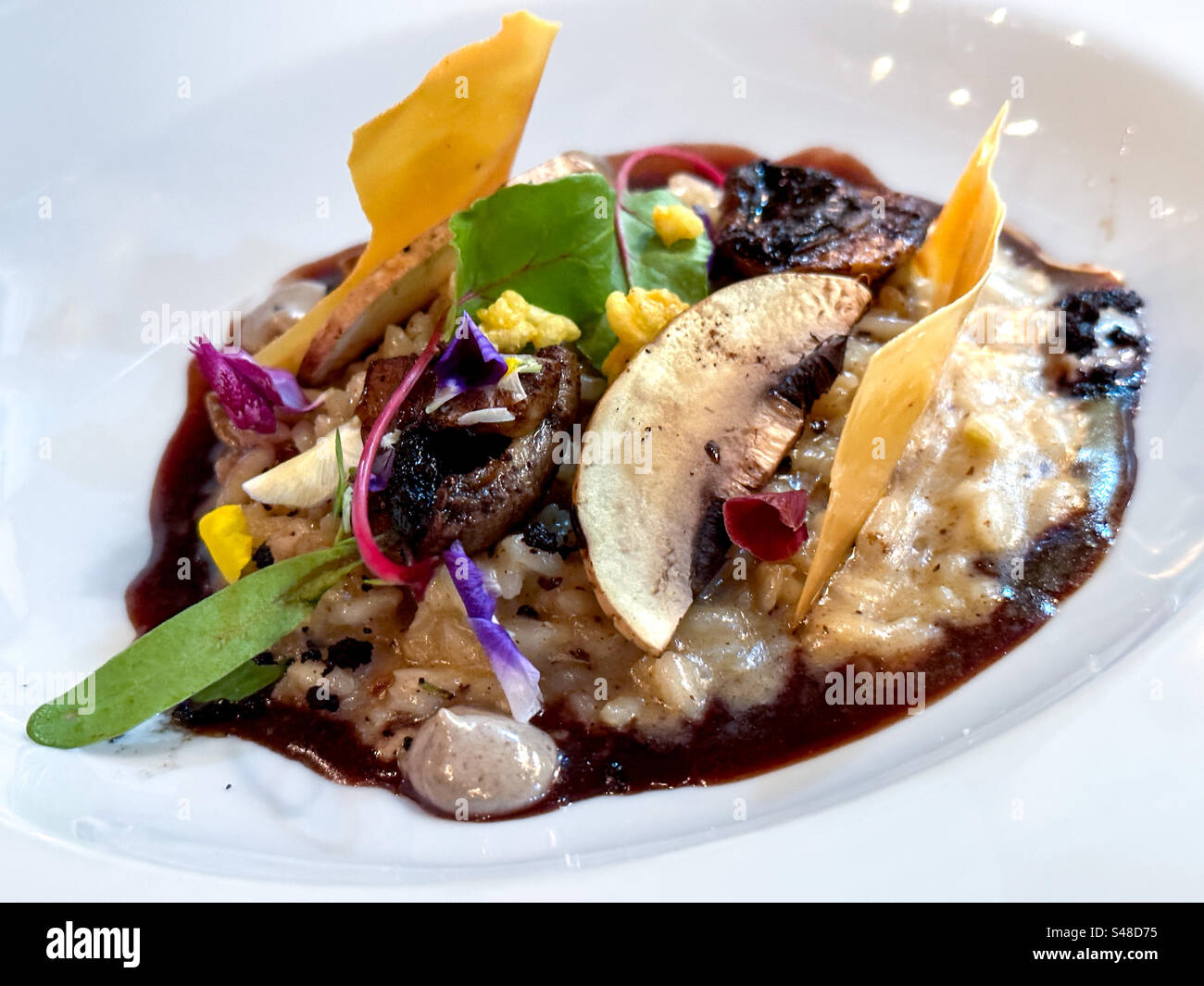 Specialty mushroom hi-res stock photography and images - Alamy