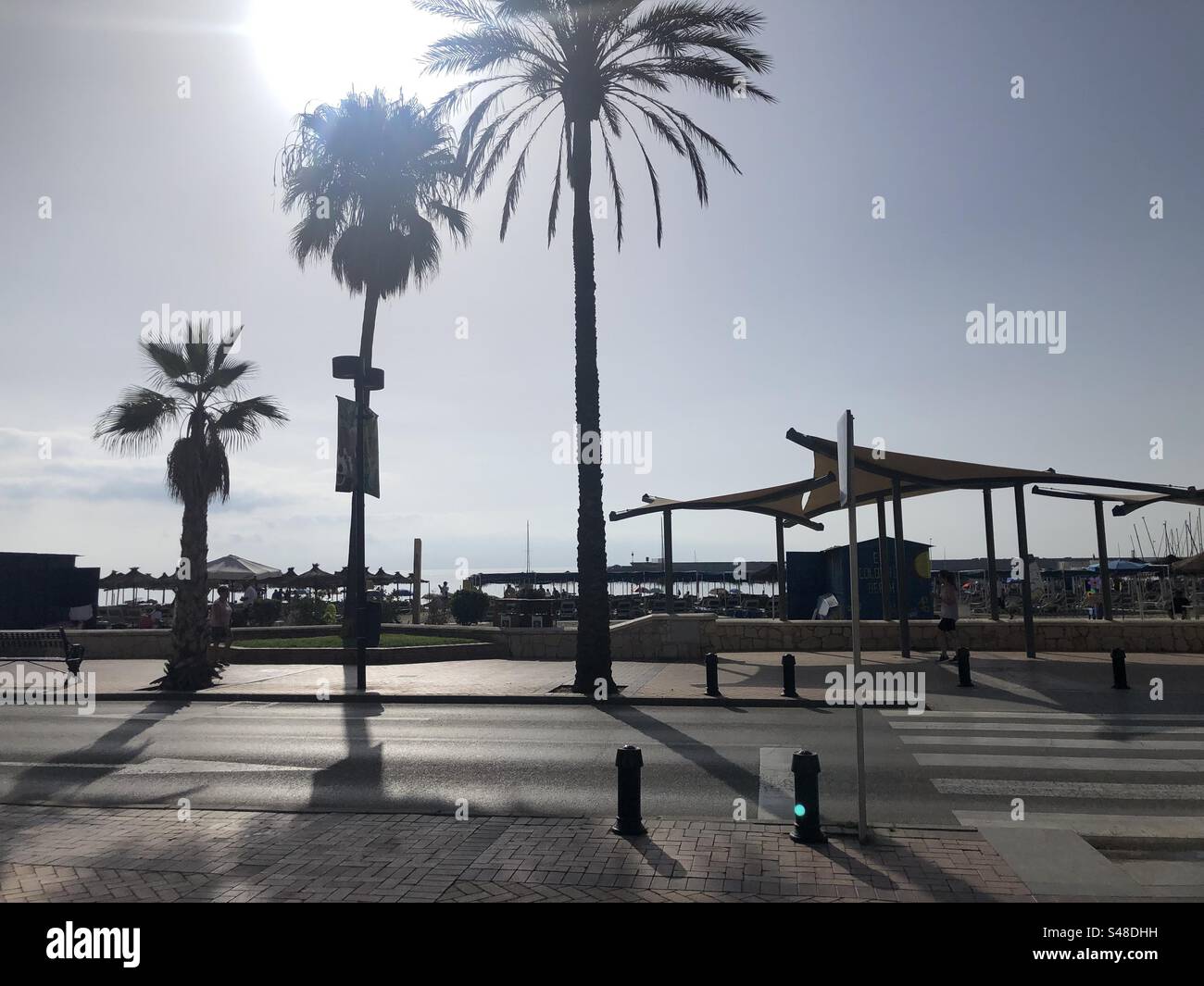 Palm trees crossing hi-res stock photography and images - Alamy