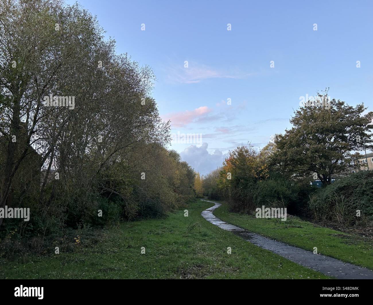 Tree lined path through grass, Early evening with blue sky. Aylesbury ...