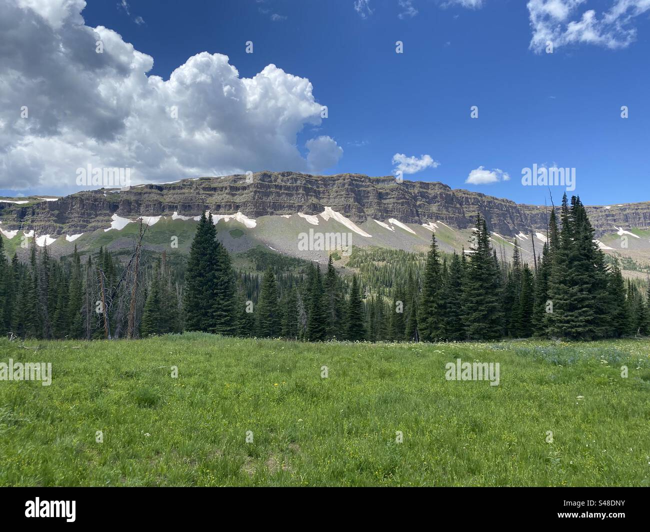 Flat tops hi-res stock photography and images - Alamy