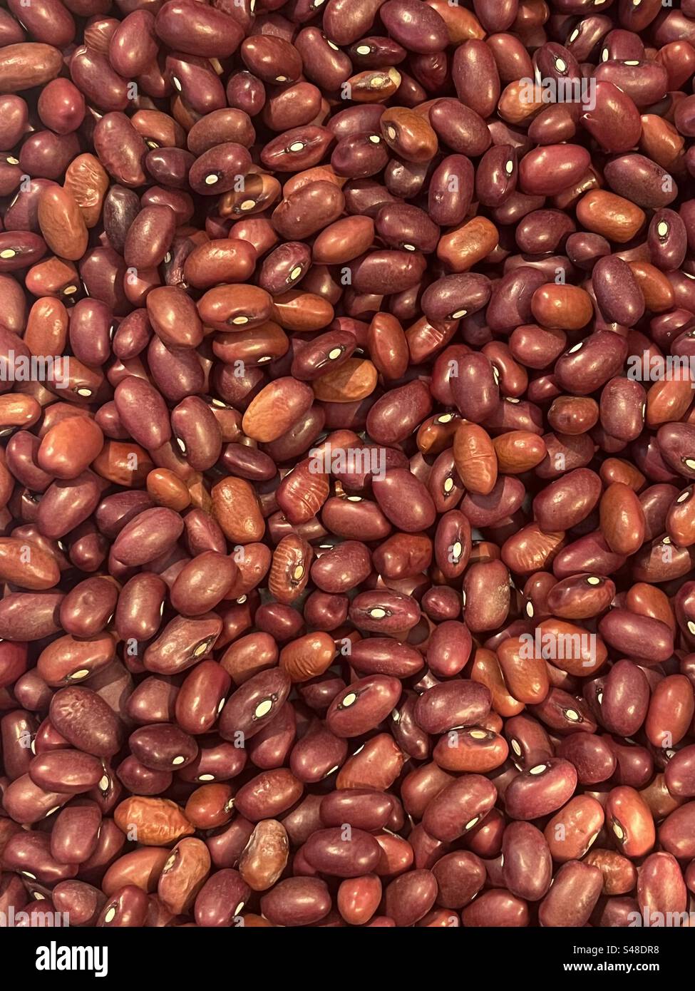 Small beans hi-res stock photography and images - Alamy