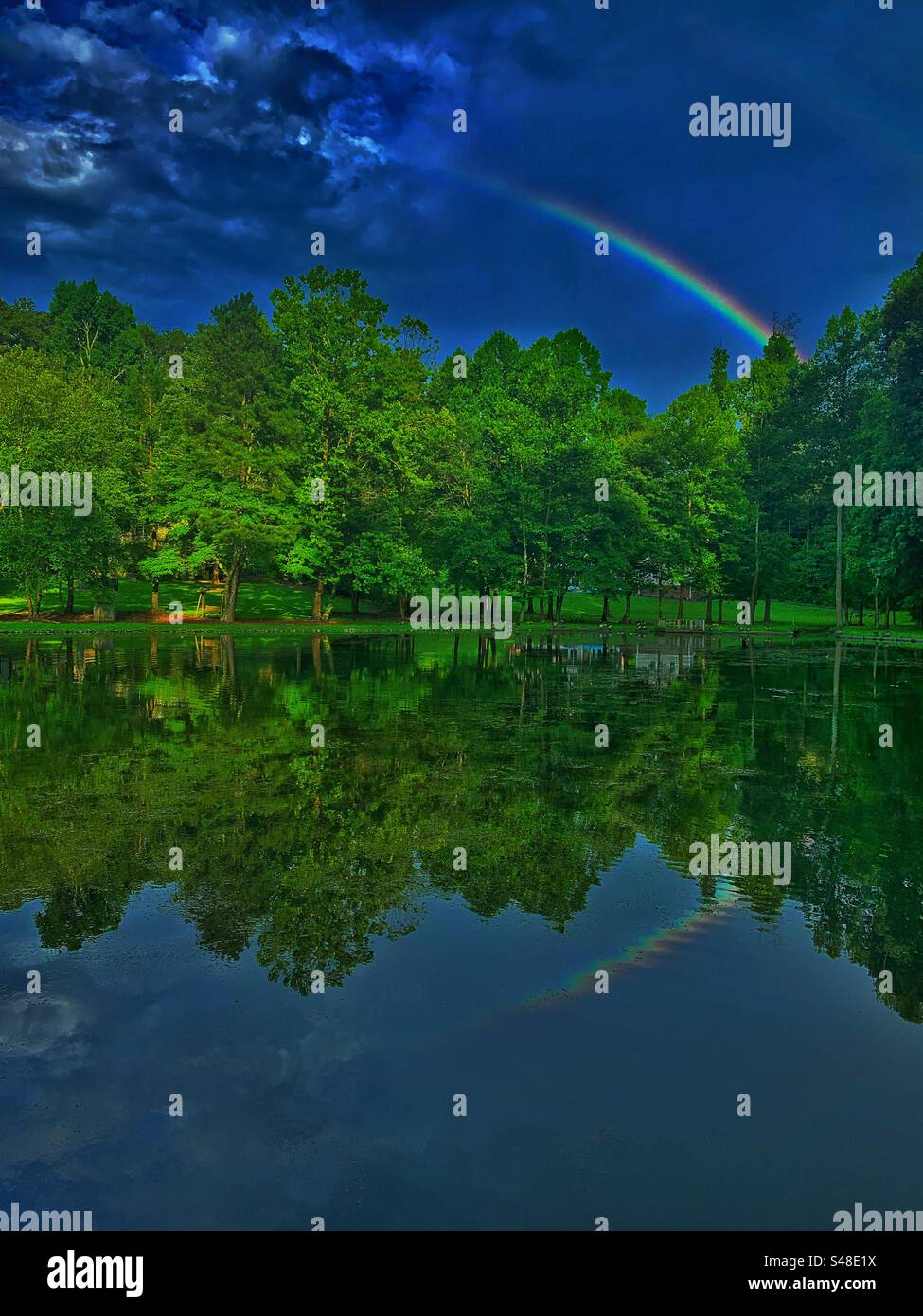 Rainbow and pine trees hi-res stock photography and images - Alamy