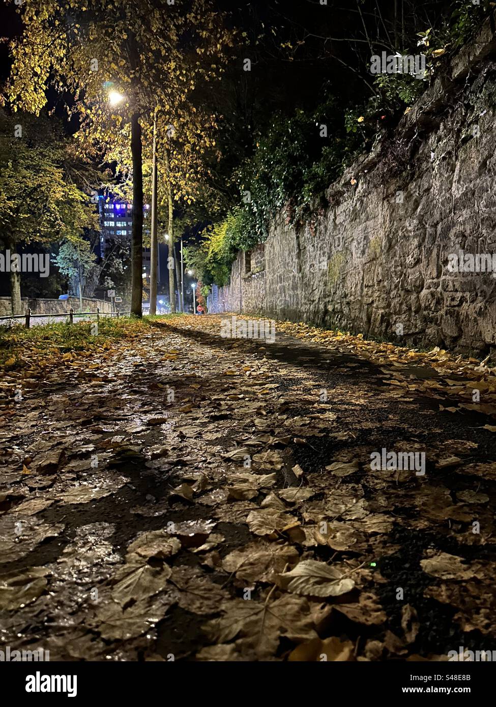 Autumn night hi-res stock photography and images - Alamy