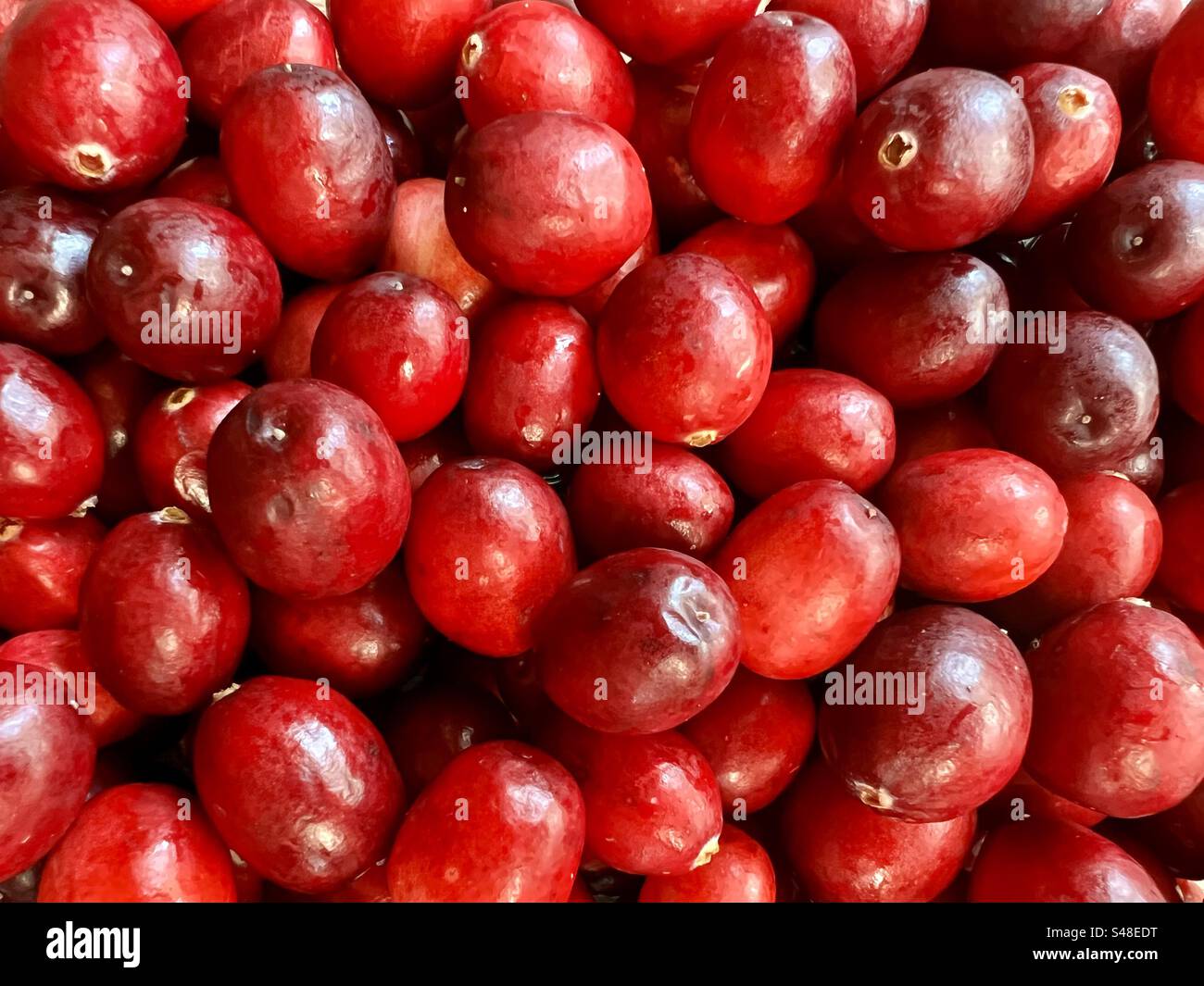 Full frame of fresh cranberries Stock Photo - Alamy