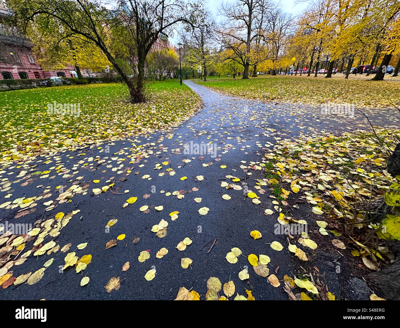 Leaf strewn paths in Kungsparken, a park in Gothenburg, Sweden in ...