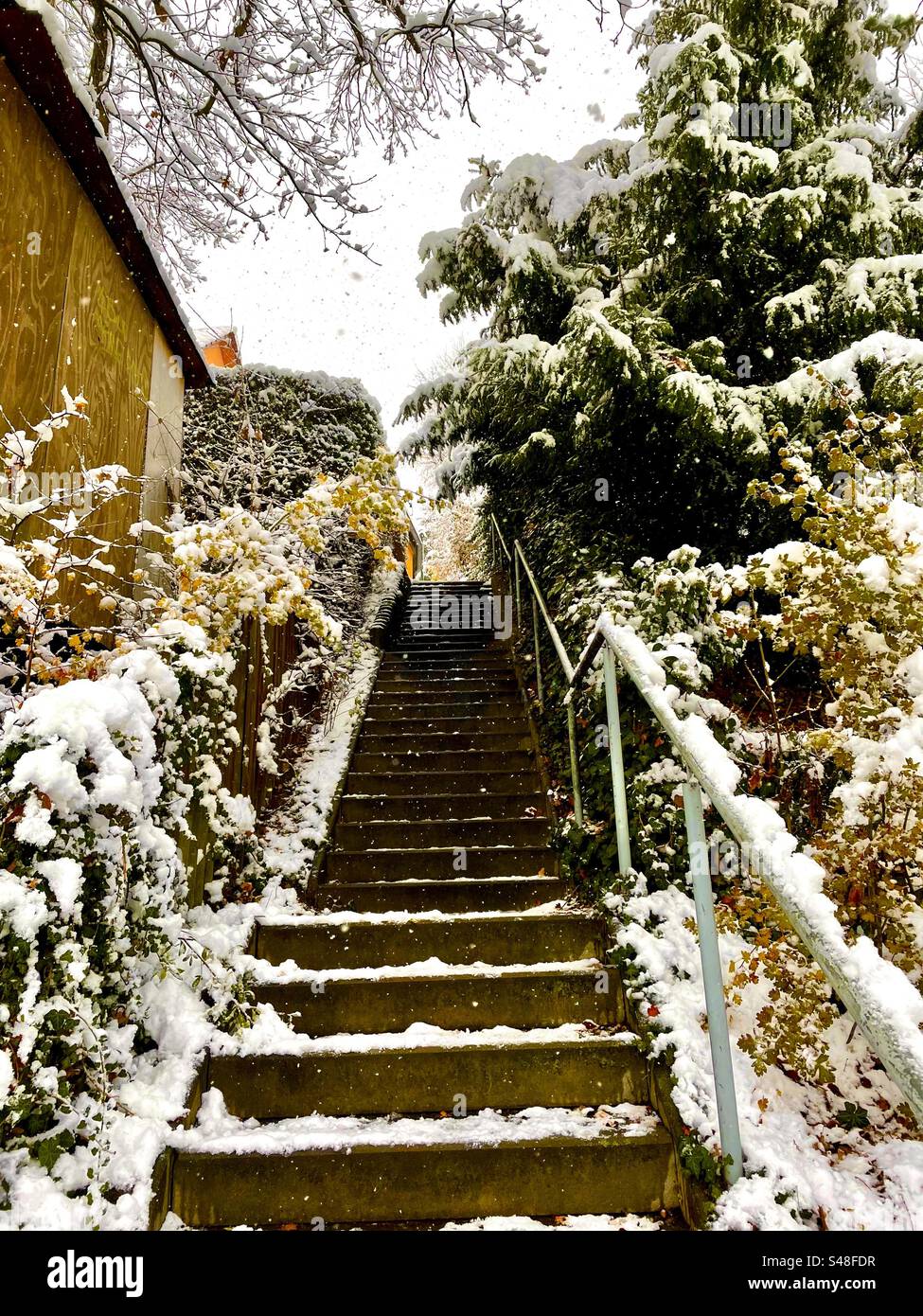 Winter and stairs hi-res stock photography and images - Alamy