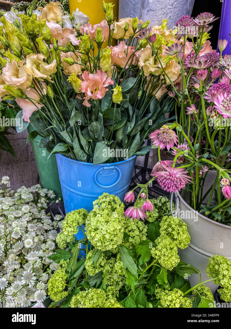 London flower hi-res stock photography and images - Alamy