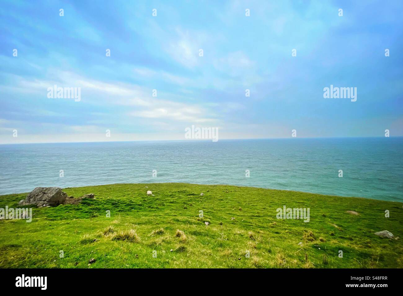 Sheep by sea hi-res stock photography and images - Alamy