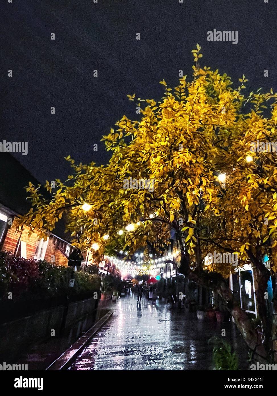 String road hi-res stock photography and images - Alamy