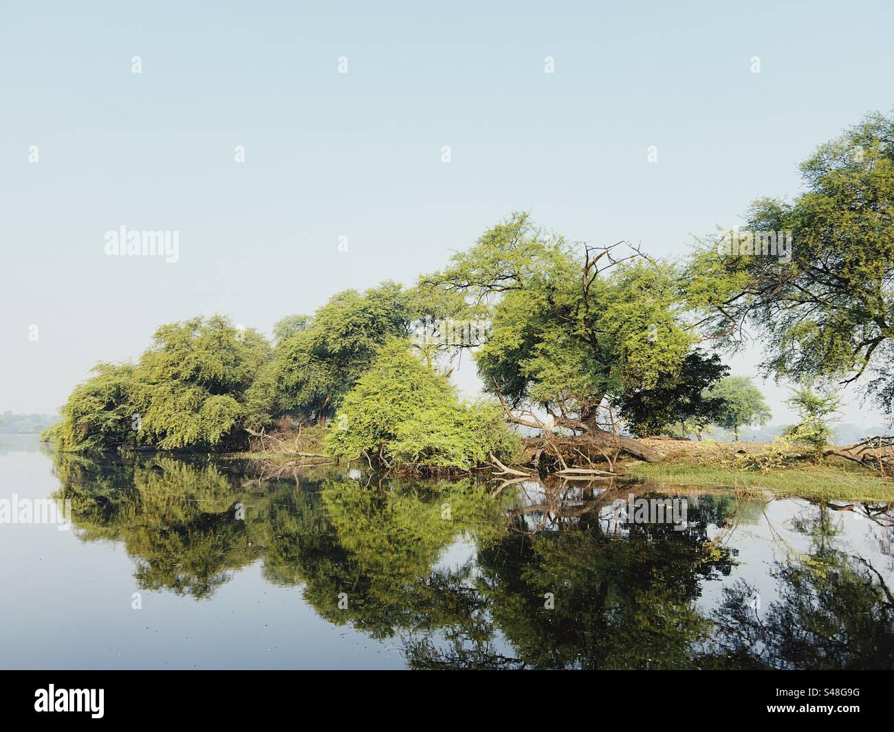 Beautiful landscape with shrubs and trees growing by the river Stock ...