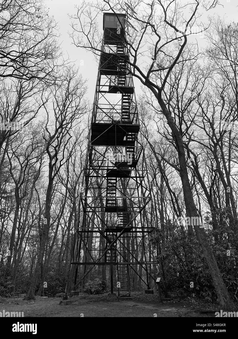 Cook forest fire tower hi-res stock photography and images - Alamy