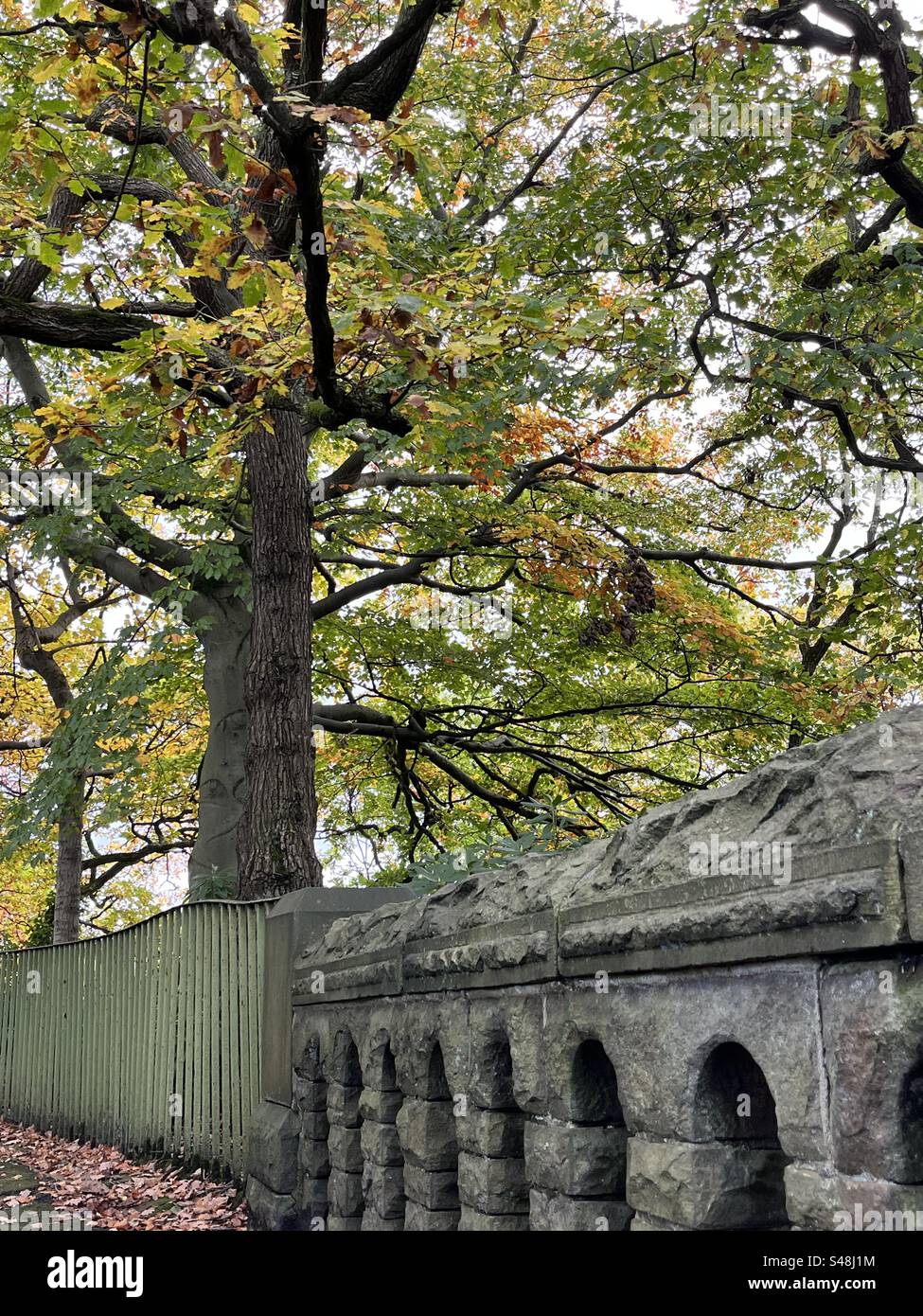 Yellow brisk hi-res stock photography and images - Alamy