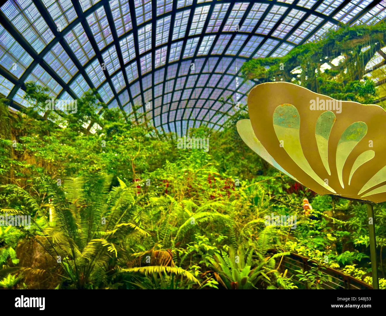 Butterfly farm hi-res stock photography and images - Alamy