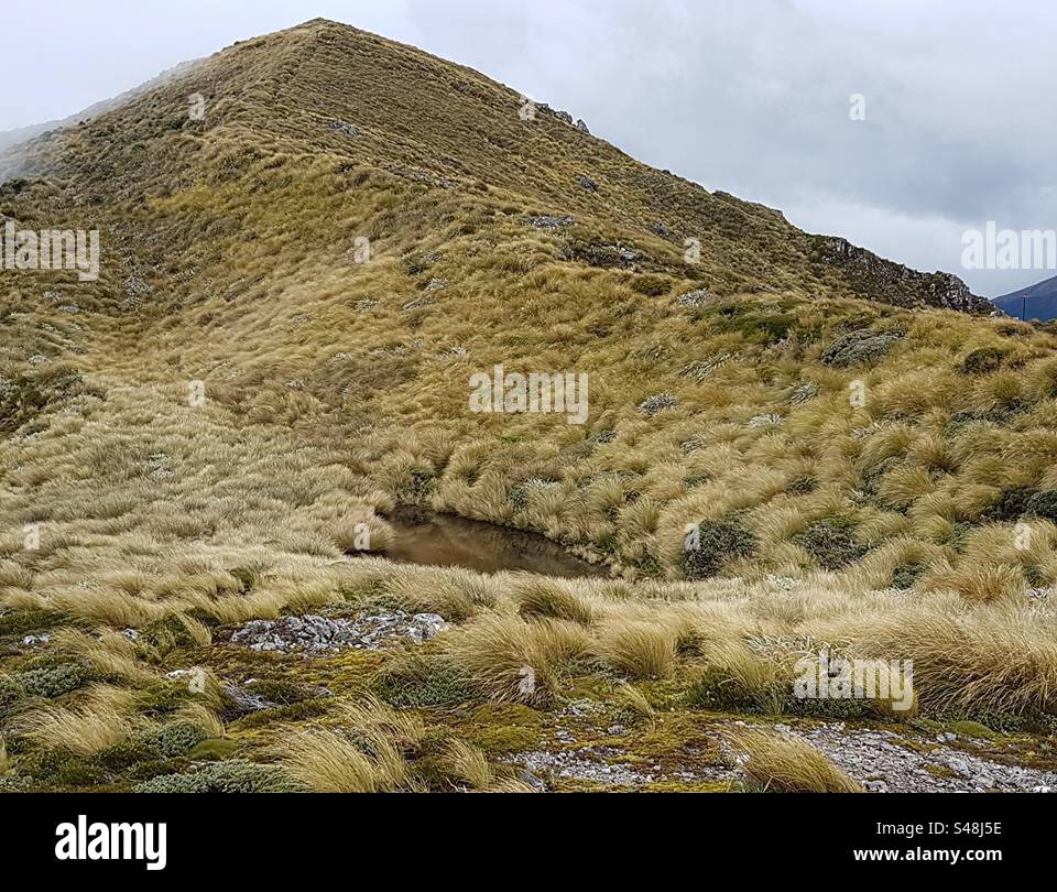 Tararua range hi-res stock photography and images - Alamy