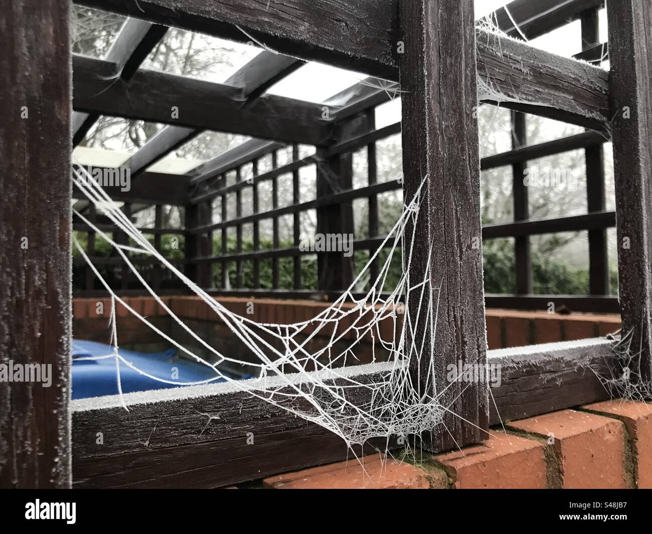 Frozen spider web hi-res stock photography and images - Alamy