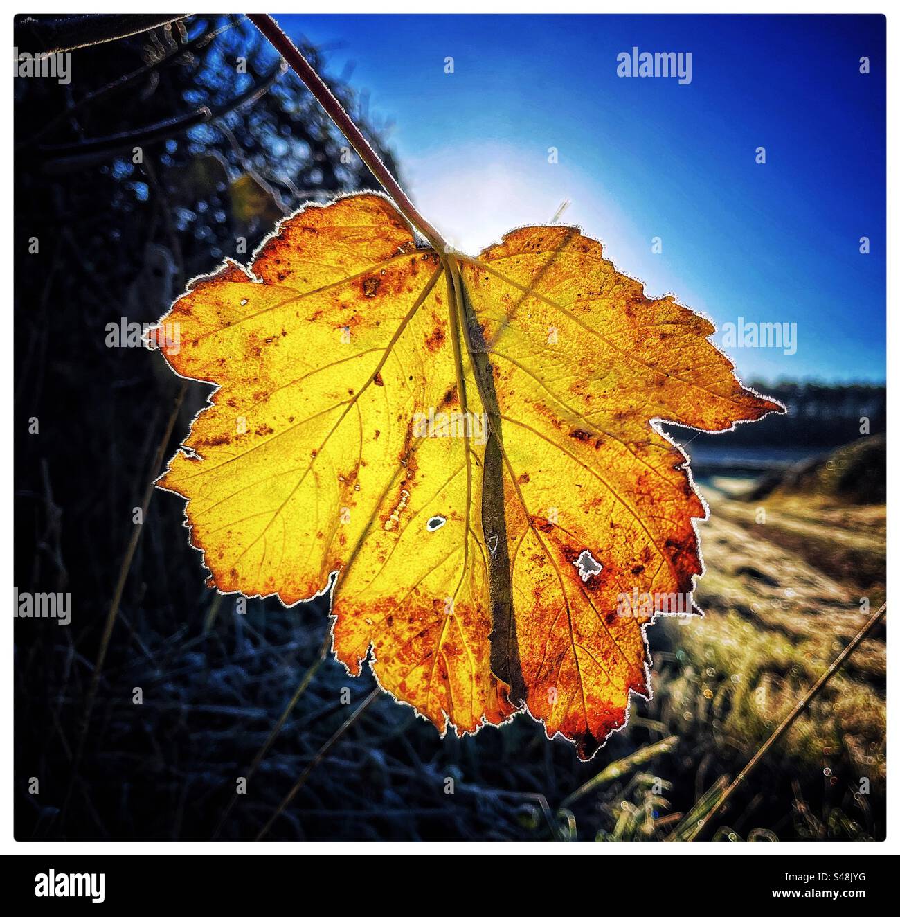 Cold autumn sunshine hi-res stock photography and images - Alamy