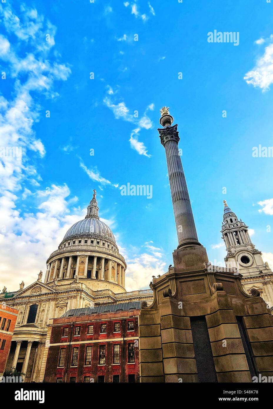 St Paul's Cathedral dome and the Paternoster Square Column, from ...