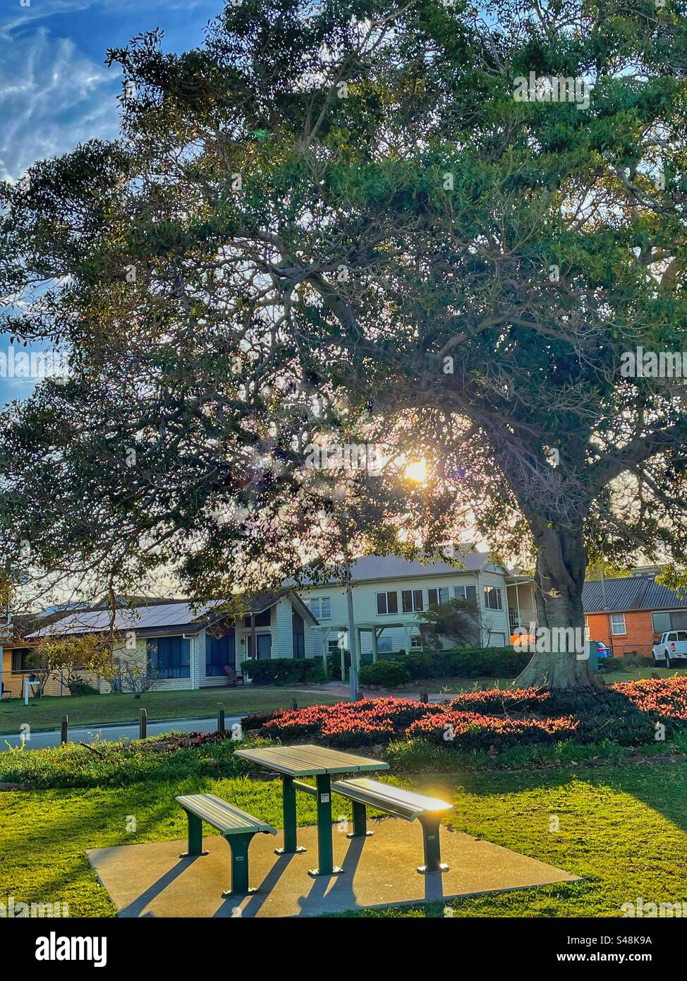 Sunset through the tree hi-res stock photography and images - Alamy