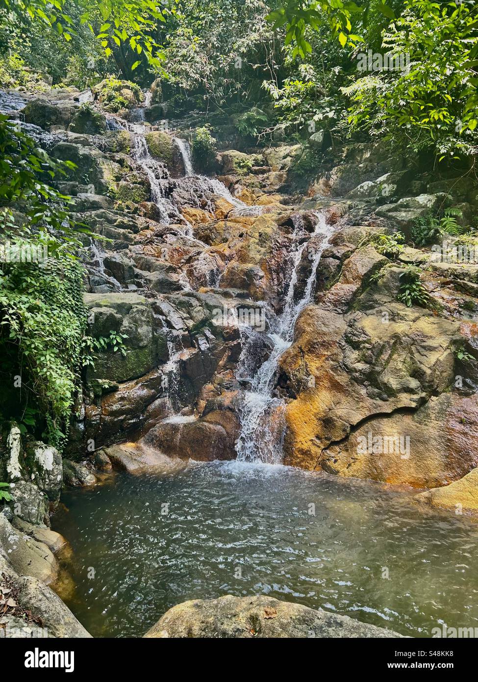 Asah hi-res stock photography and images - Alamy