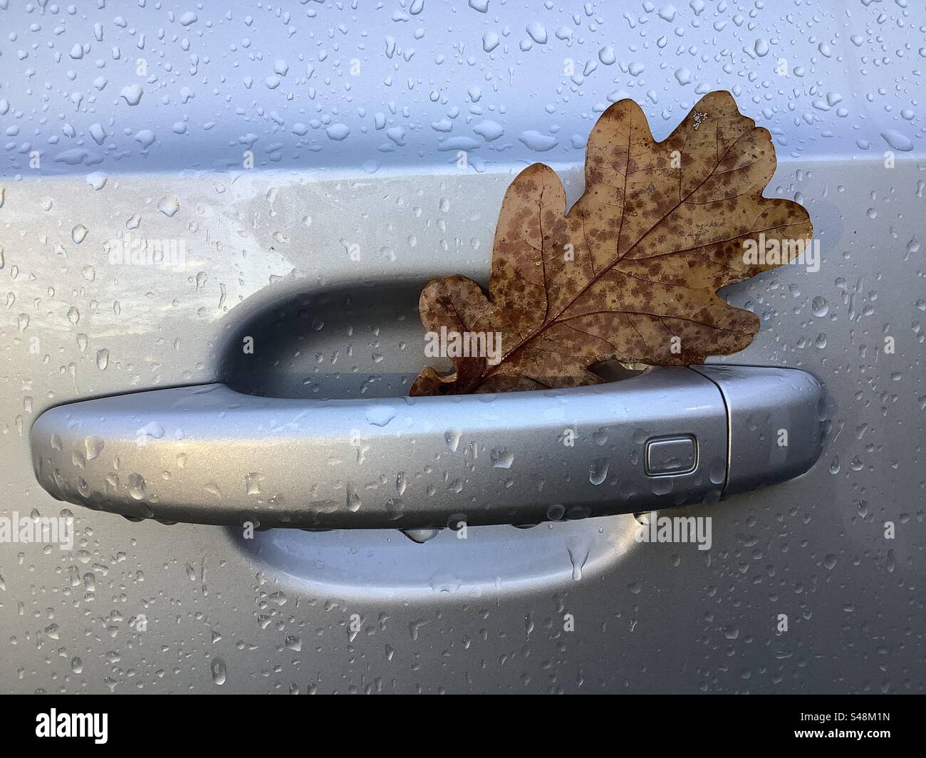 Fall door hi-res stock photography and images - Alamy