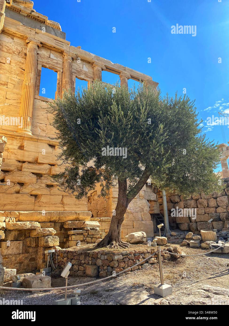 Tree goddess hi-res stock photography and images - Alamy