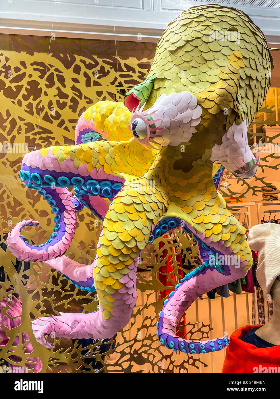 Octopus display hi-res stock photography and images - Alamy