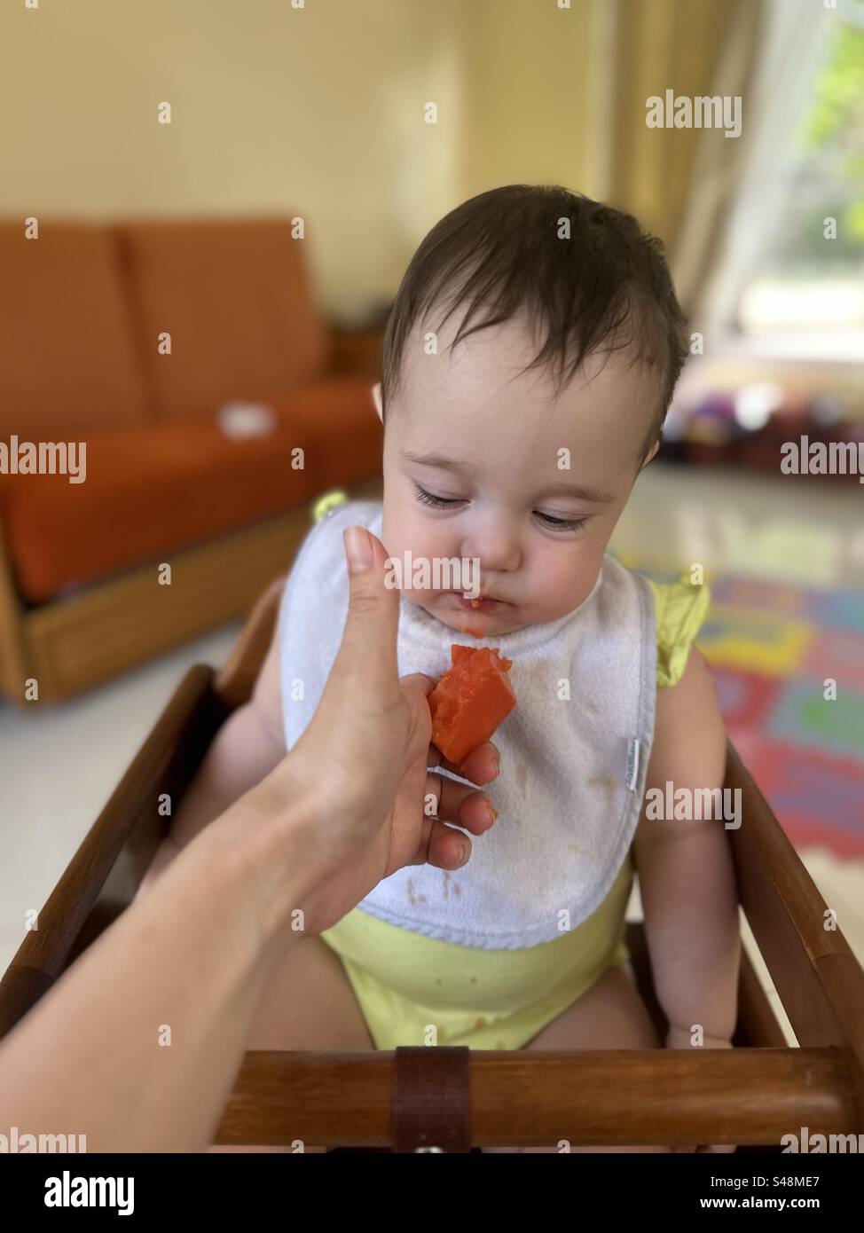 Baby papaya hi-res stock photography and images - Alamy