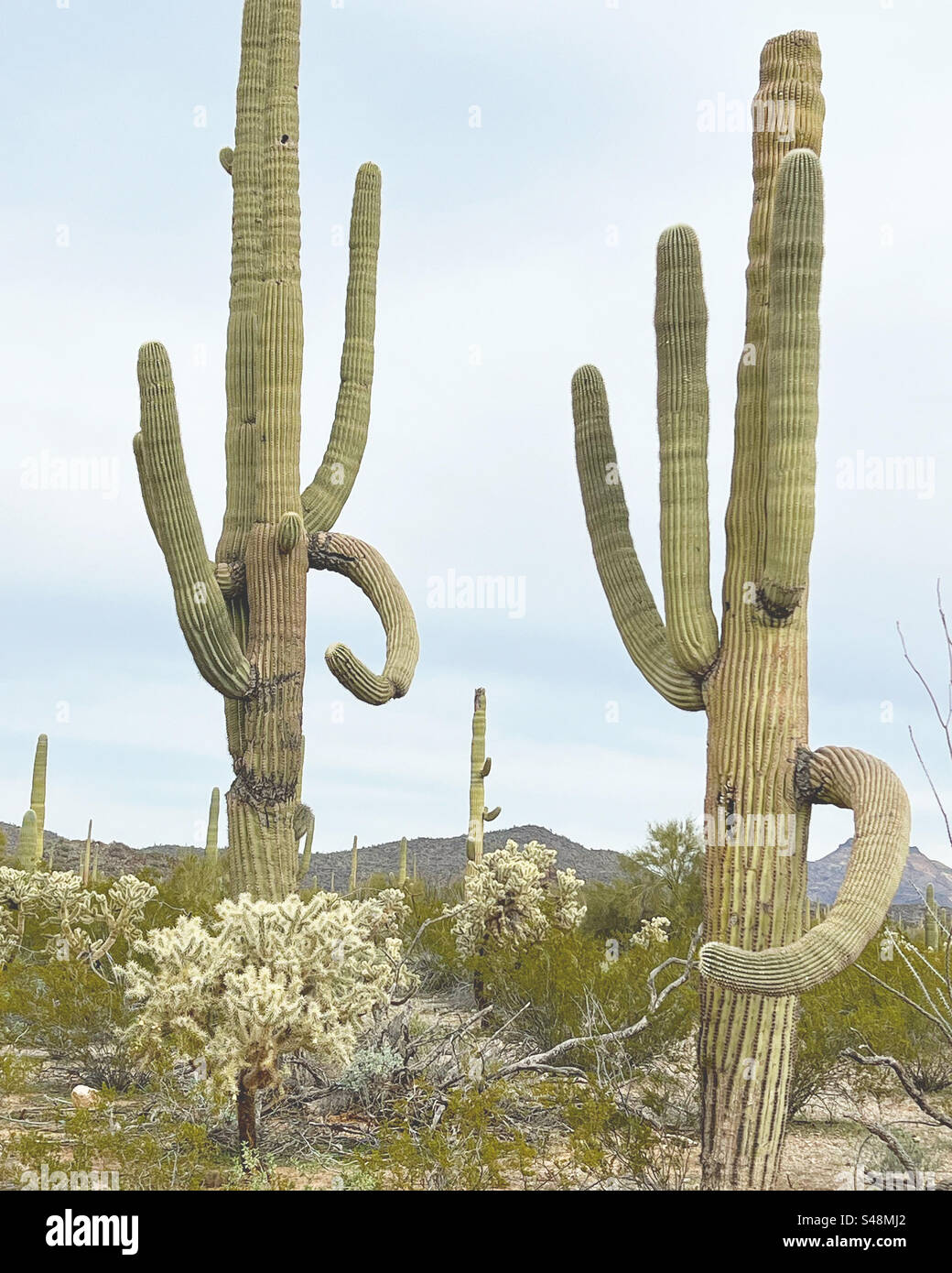 Twinning with hi-res stock photography and images - Alamy