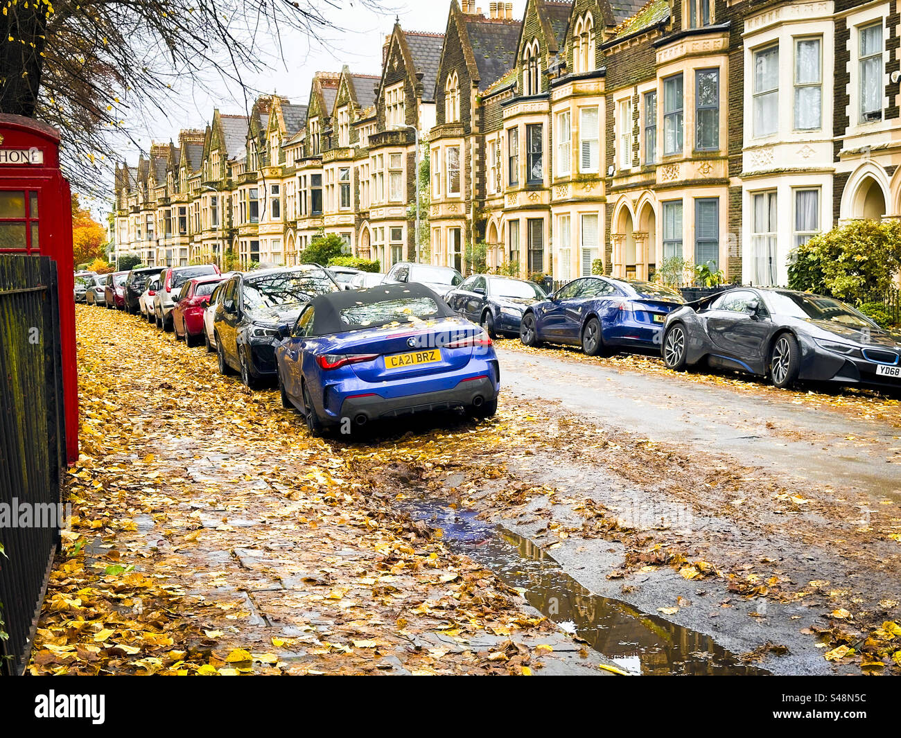 Clearing up fallen Autumn leaves in Pontcanna, Cardiff: Phillip Roberts ...
