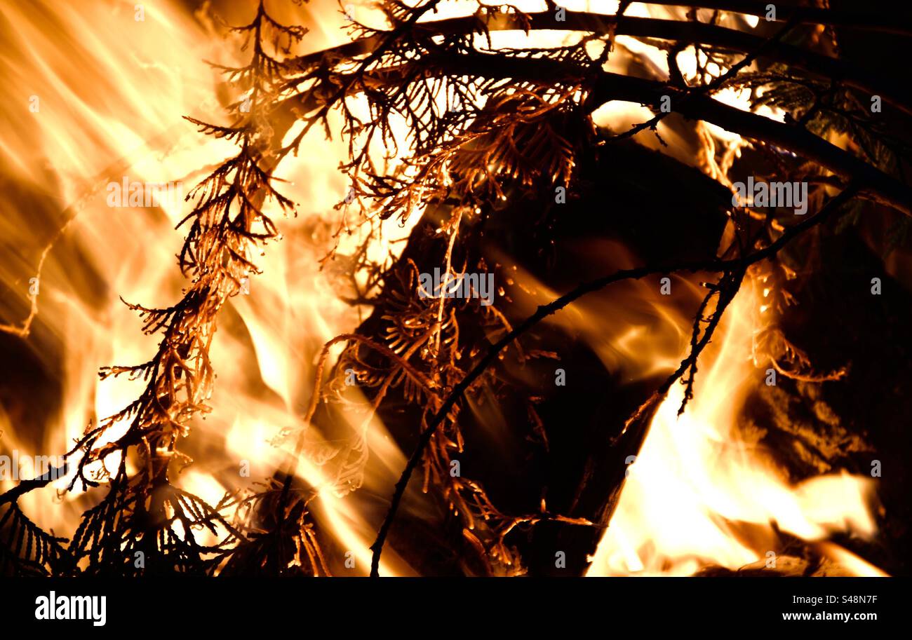 Fire branch hi-res stock photography and images - Alamy