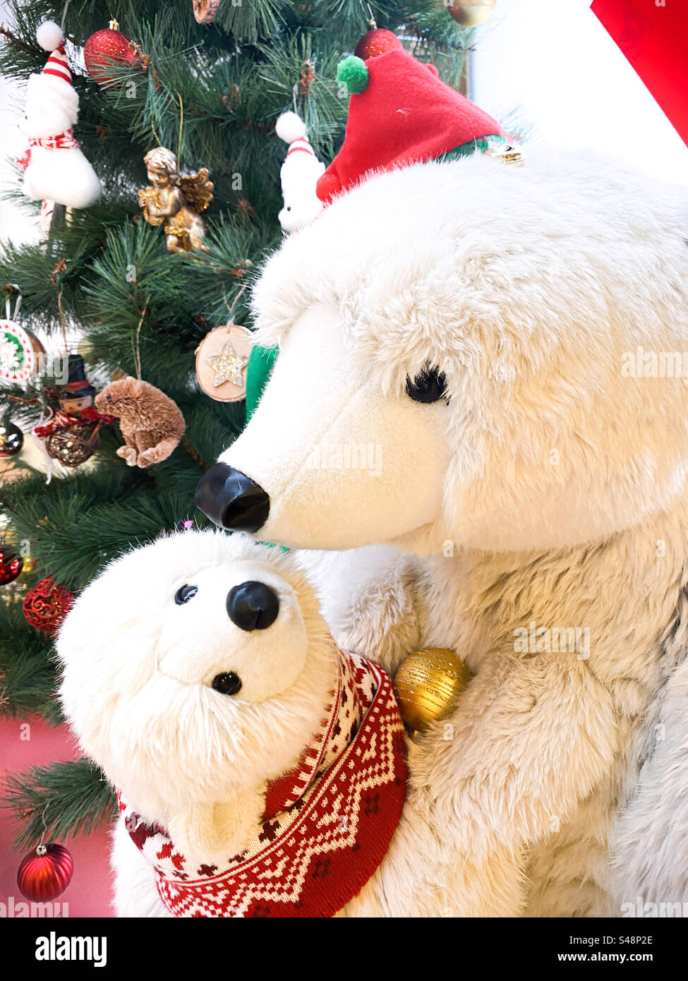 Christmas bears 🐻 Stock Photo - Alamy