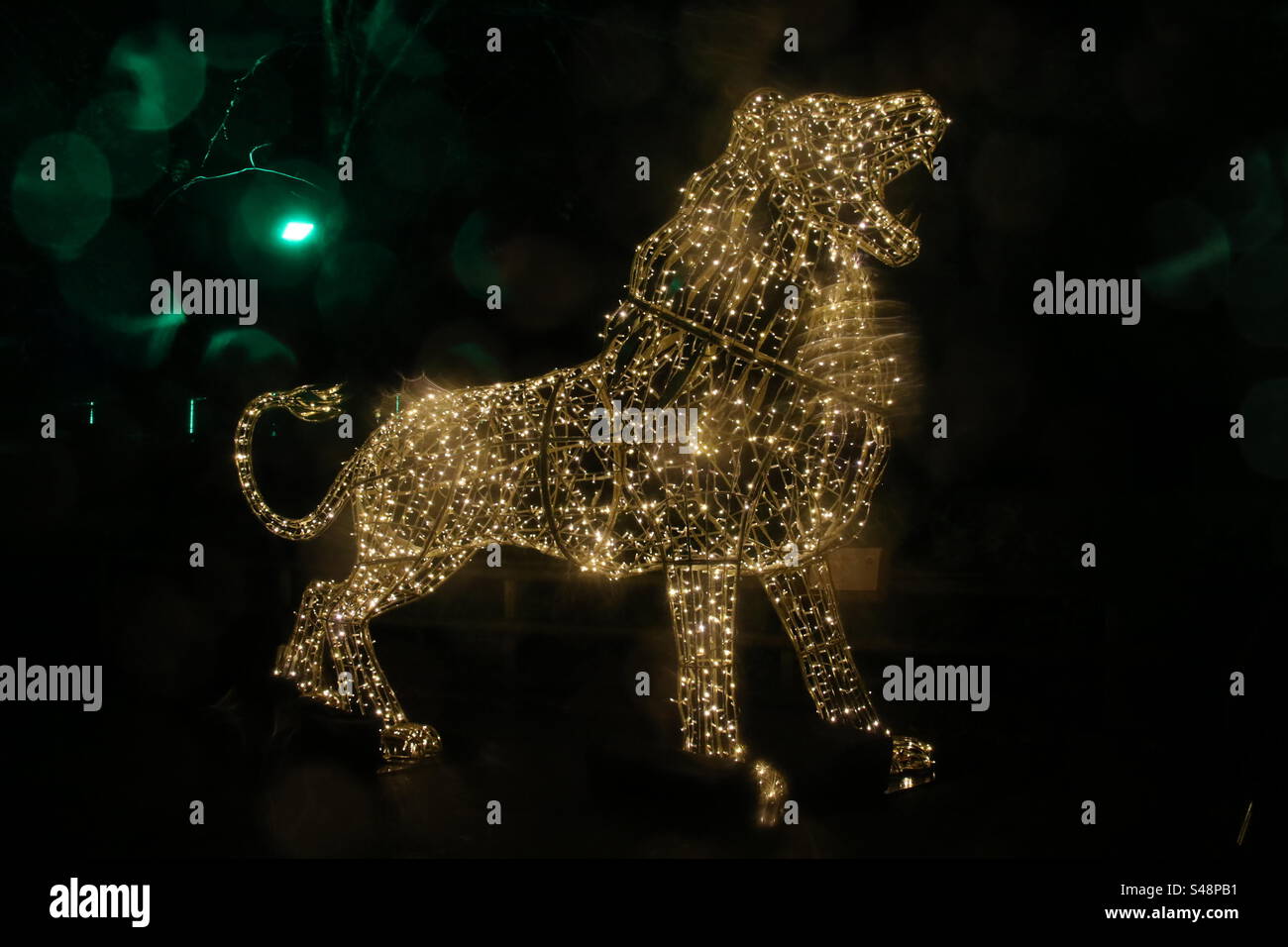 Chester zoo lanterns hi-res stock photography and images - Alamy