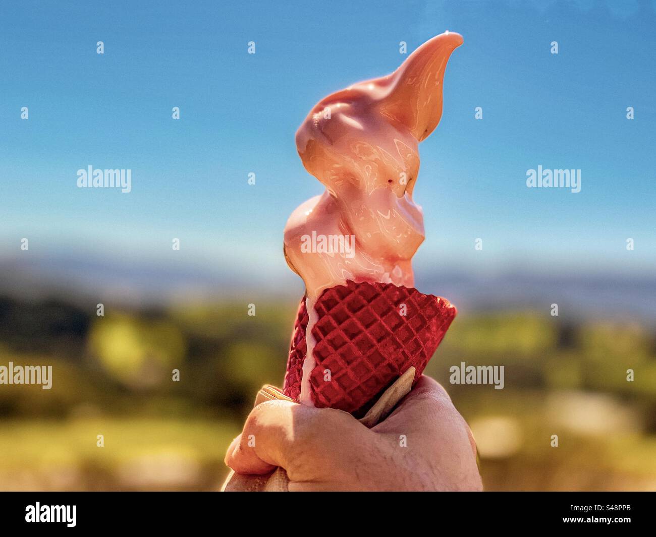 Human hand holding melting soft serve cherry ice cream in a cone ...