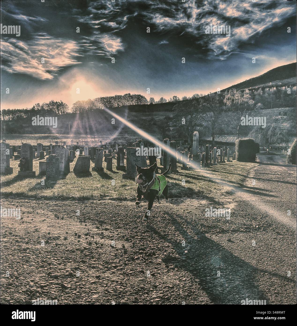 The happy cemetery hi-res stock photography and images - Alamy