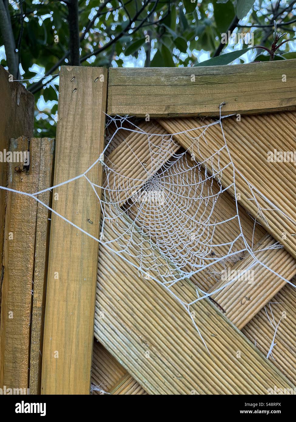Frosted garden fence hi-res stock photography and images - Alamy
