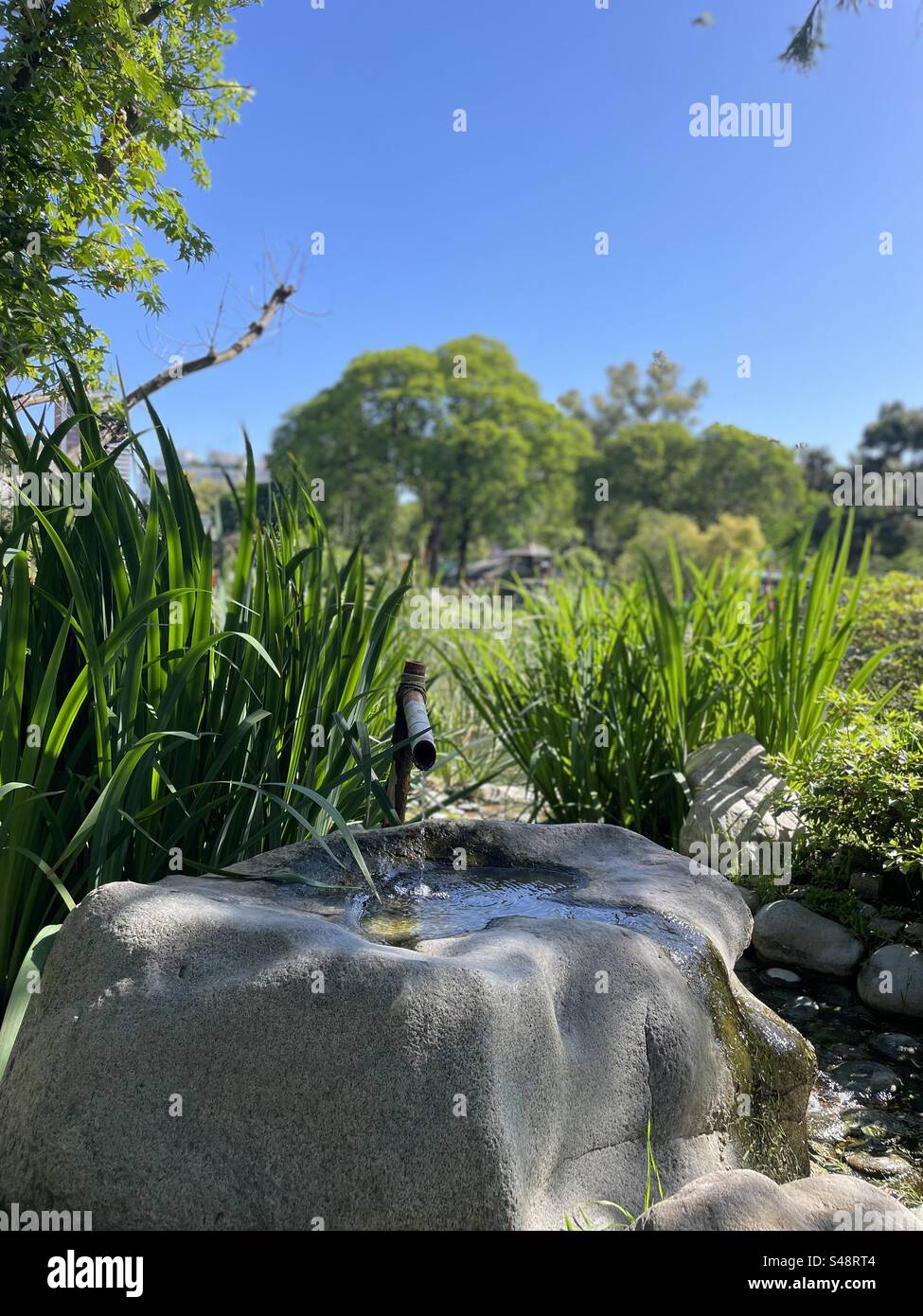 Japanese garden water installation Stock Photo - Alamy