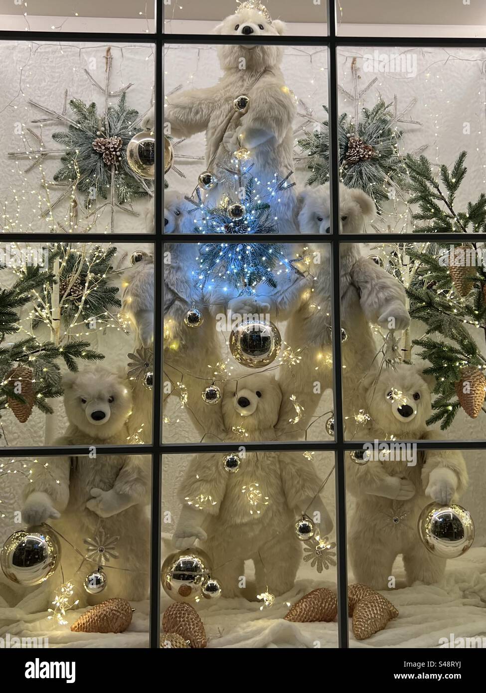 Teddy bear display hi-res stock photography and images - Alamy