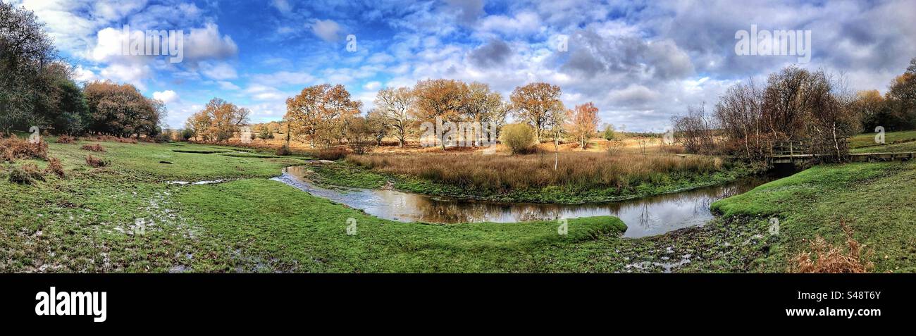 Dockens Water stream in Autumn at the New Forest National Park ...