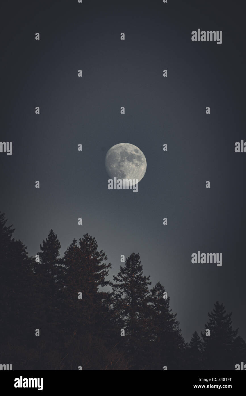 Quintessence hi-res stock photography and images - Alamy